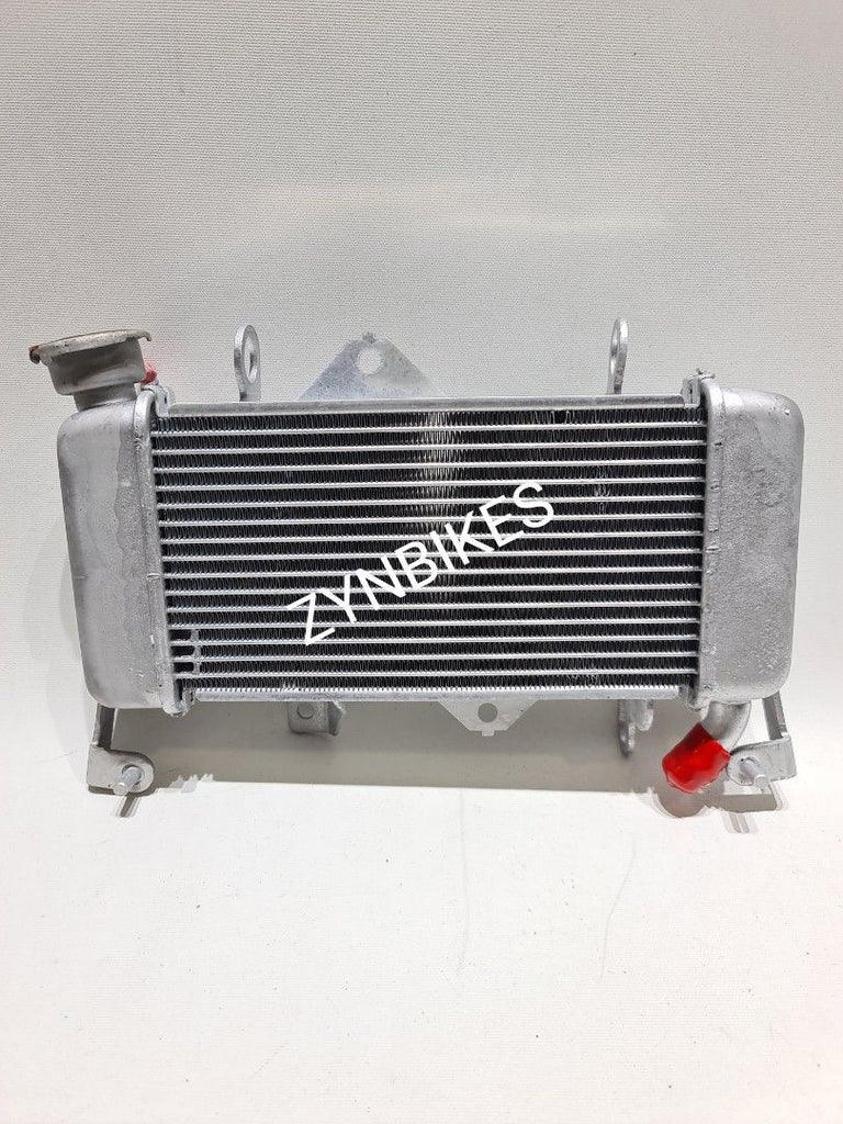 STANDARD RADIATOR YAMAHA R15 MT15 XSR 155 – ZYNBIKES